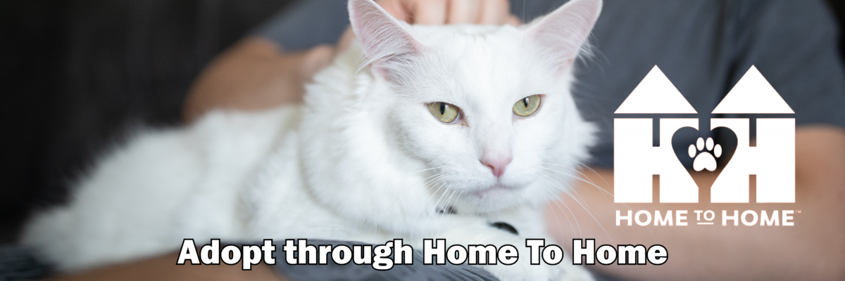 Adoptable Animals | Cleveland Animal Protective League