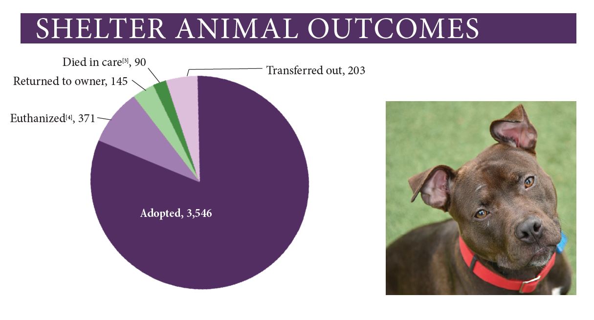 2020 Shelter Statistics | Cleveland Animal Protective League