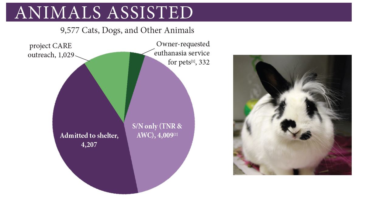 2020 Shelter Statistics | Cleveland Animal Protective League