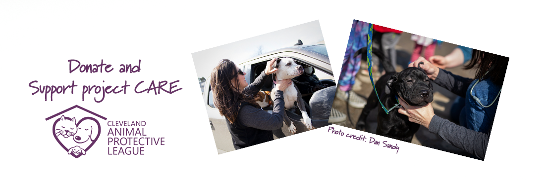 Cleveland Animal Protective League | Cleveland Animal Protective League