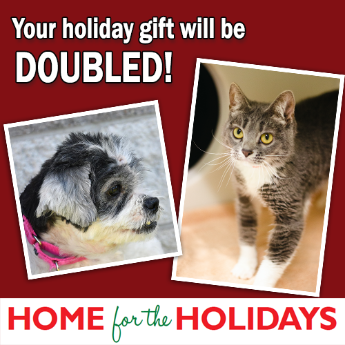 Employment Opportunities | Cleveland Animal Protective League