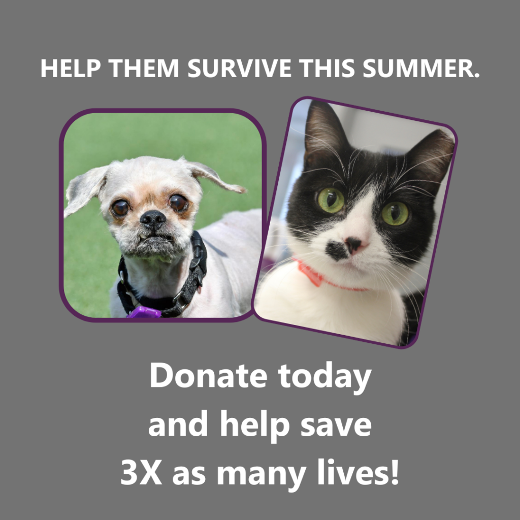 Cleveland Animal Protective League - Home