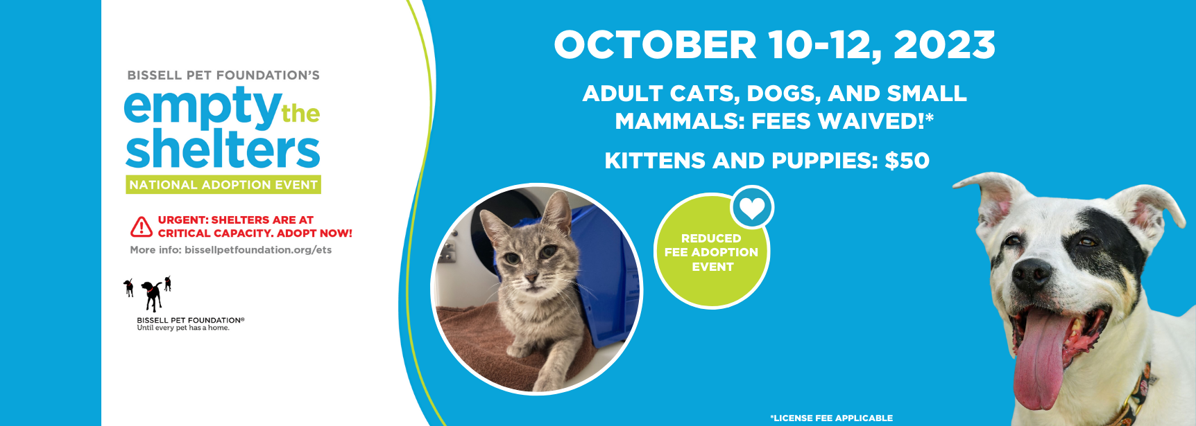 Cleveland Animal Protective League – Home