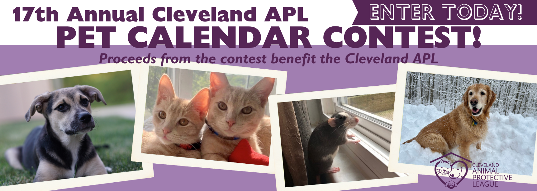 Cleveland Animal Protective League | Cleveland Animal Protective League