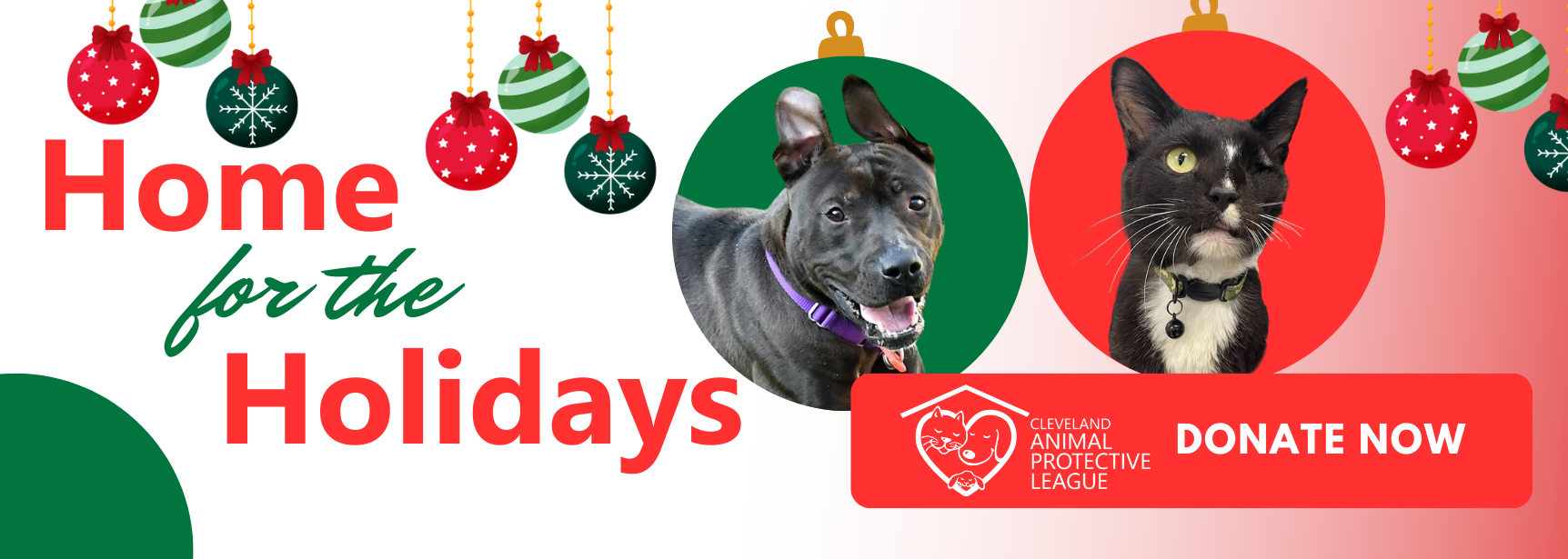 Cleveland Animal Protective League | Cleveland Animal Protective League