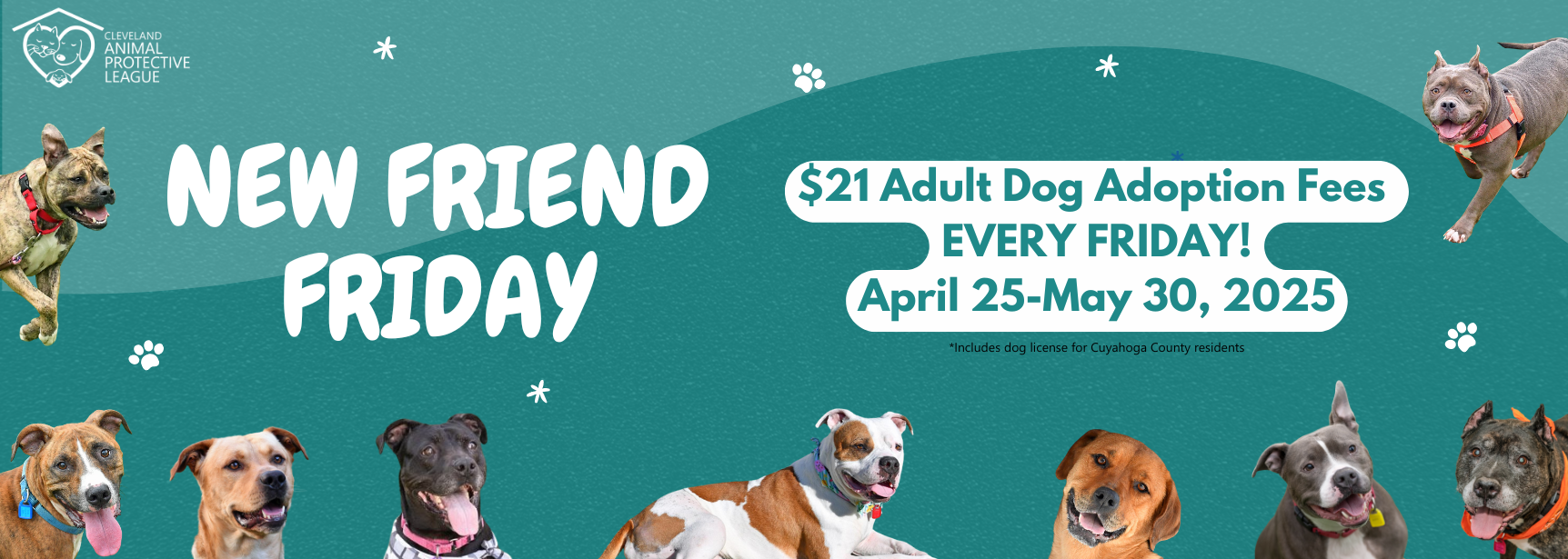 Cleveland Animal Protective League | Cleveland Animal Protective League